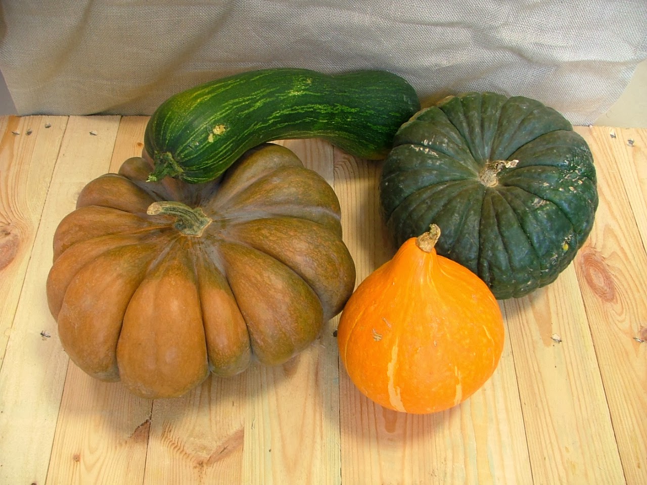 Cooperativa Besana: NUESTRAS CALABAZAS