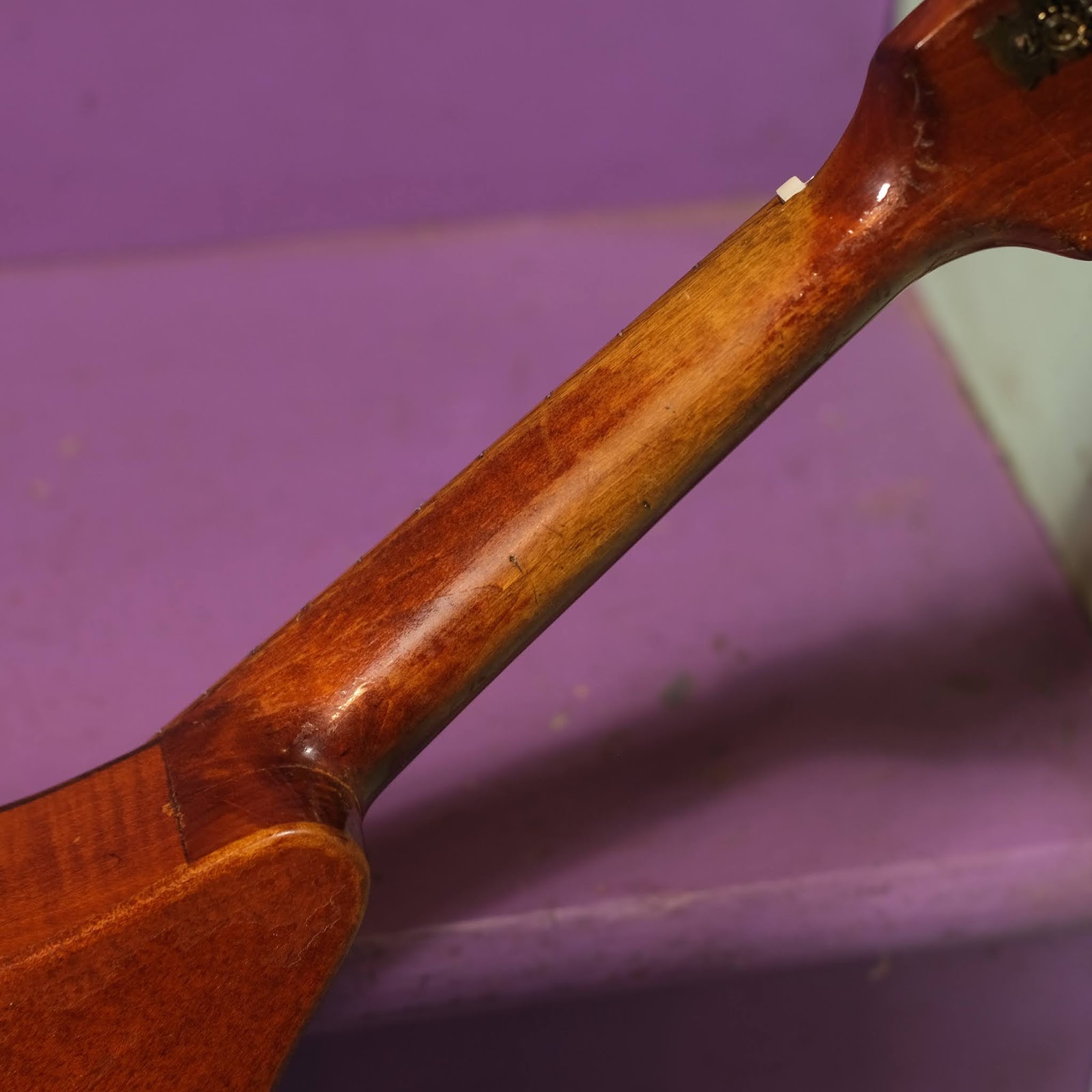 1930s German-made Windmill-Scene Flatback Mandolin