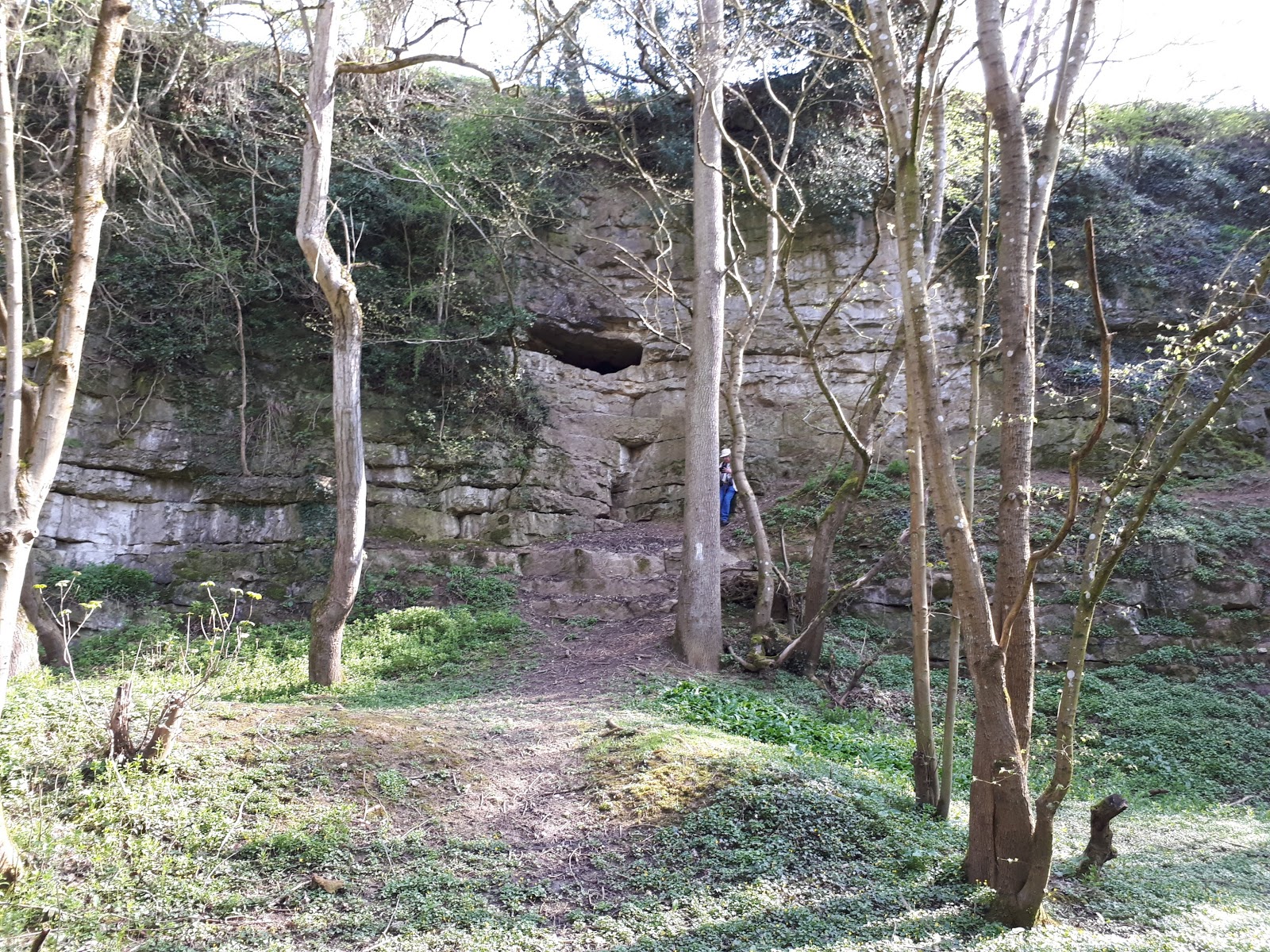 Wild at Hull: Kirkdale with Hull Nats