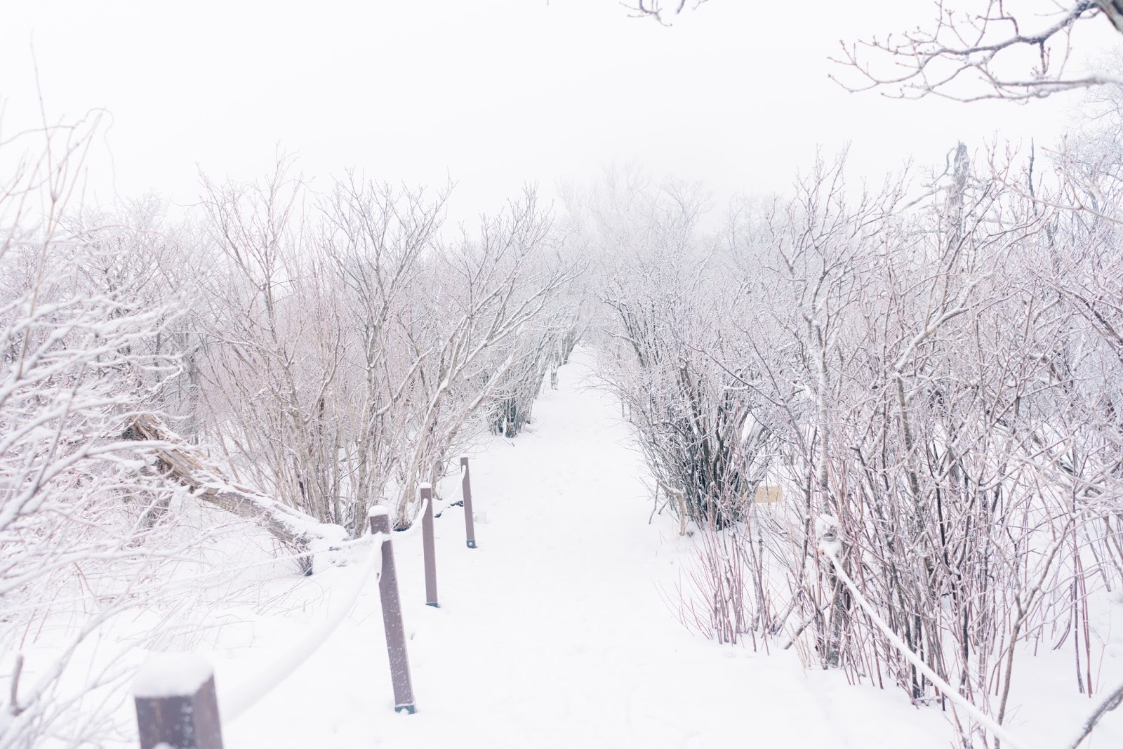 WInter Hike to Balwangsan - Yongpyeong Resort - Mini en Monde