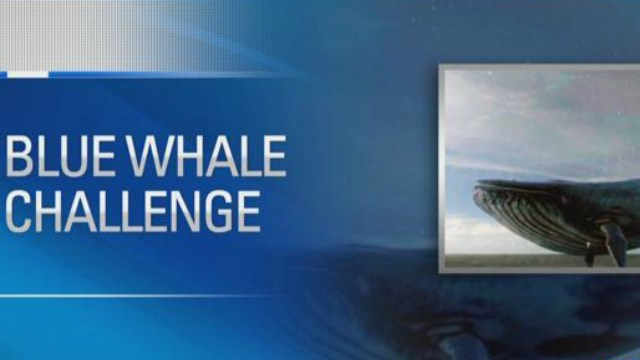 Blue Whale challenge