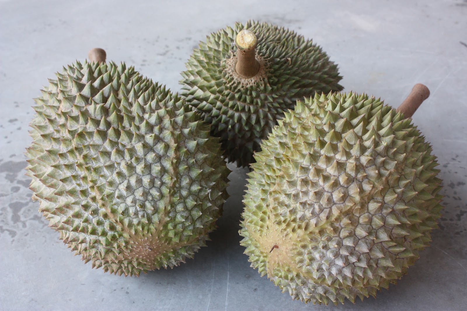 Malaysia Durian: Malaysia Durian