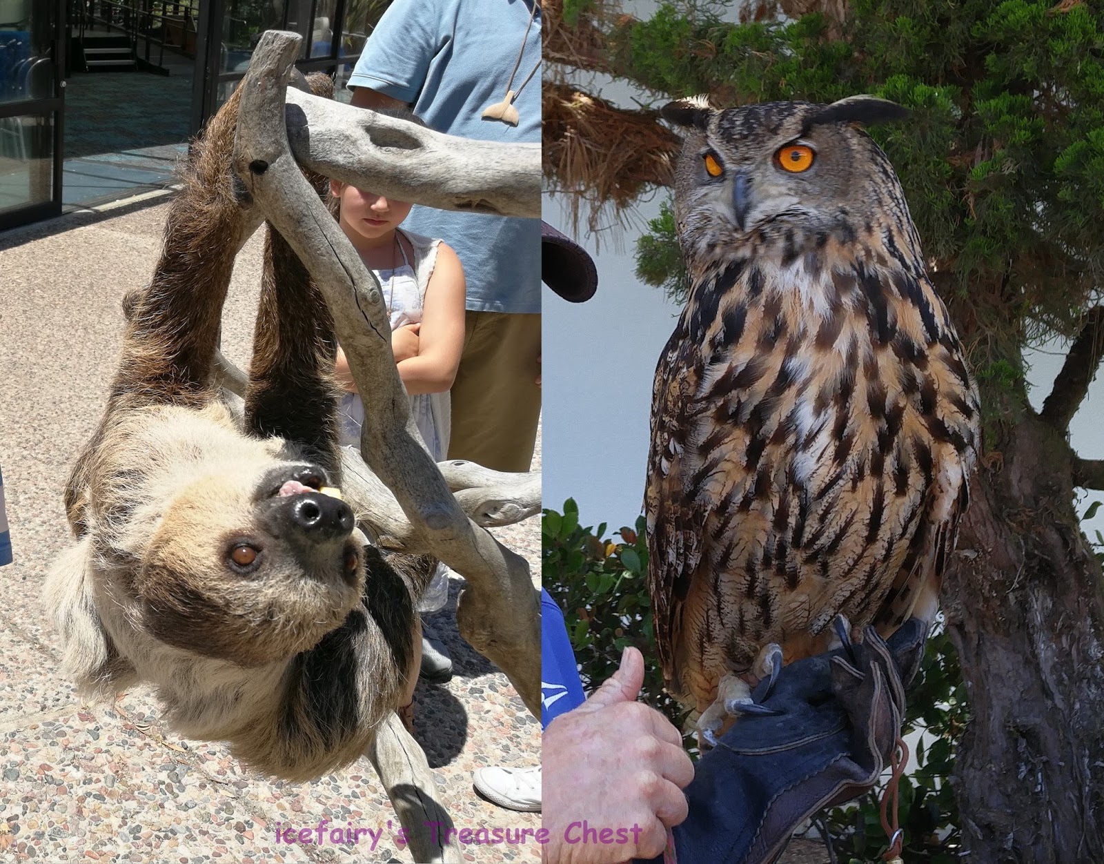 Go Behind the Scenes of New Attractions at SeaWorld & Family Four Pack ...