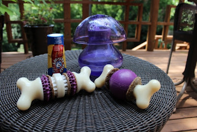 To Dog With Love: Entertain Your Pup With Busy Buddy and Lickety Stik ...