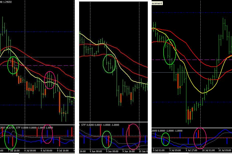 Black King Forex System