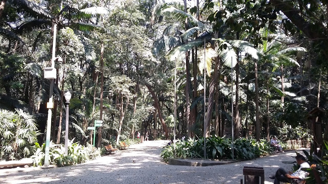 Conheça o parque Trianon-MASP | PENSE NO VERDE