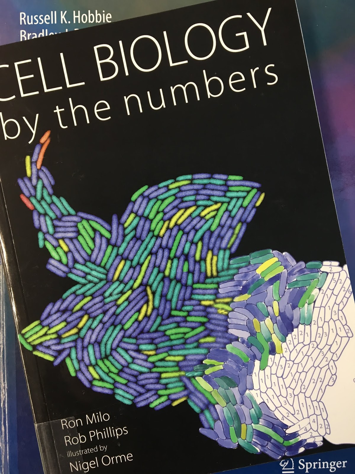 Intermediate Physics for Medicine and Biology: Cell Biology by the Numbers