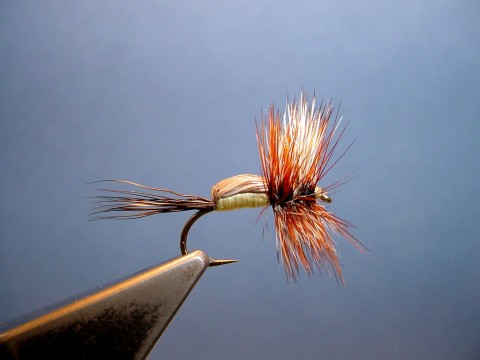 Palmetto Fly N' Fish: The Cooper Bug - THE FLY WITH THE MIXED UP NAME