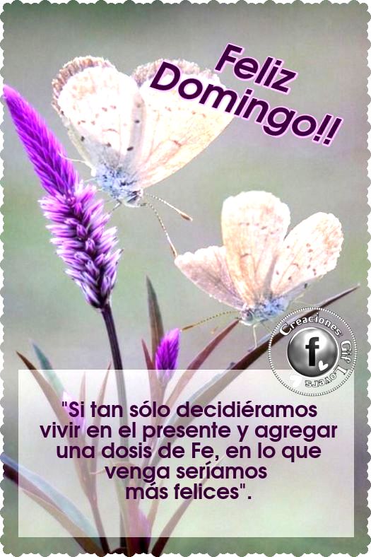 Luciernaga al atardecer: DOMINGO ¡Que tu día sea bendecido!