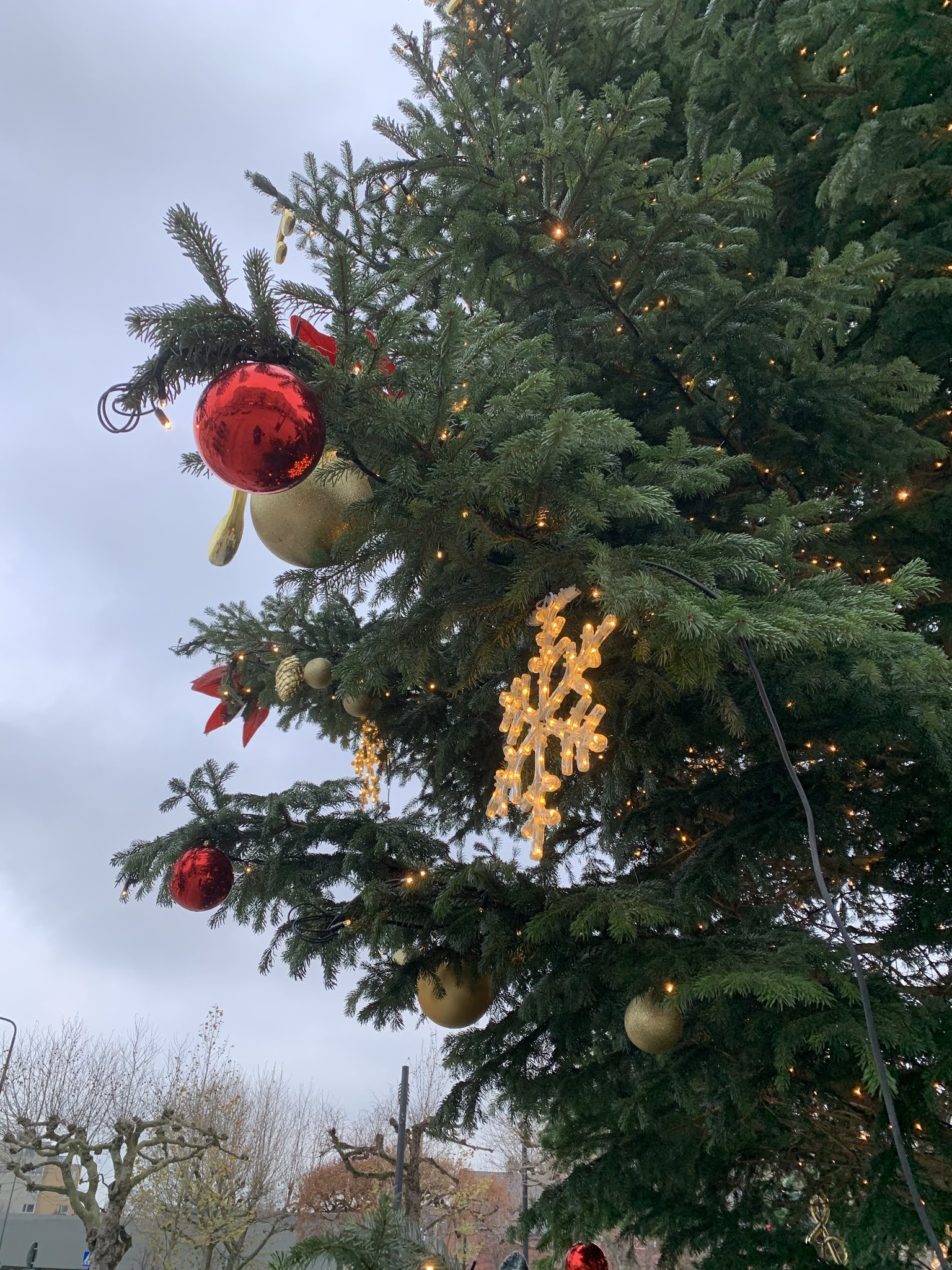 Destination Lund Sweden: Tourism, history and culture: Christmas trees ...