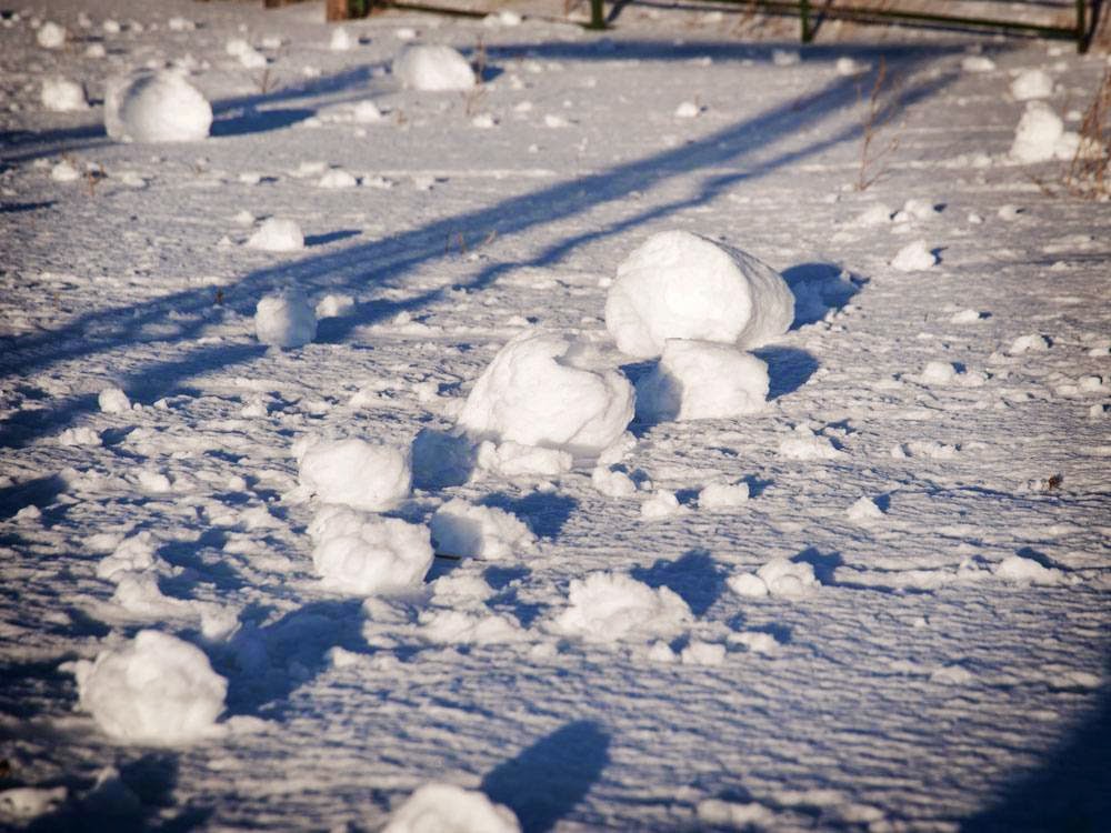 Snow Rollers: Nature’s Winter Treat ~ Kuriositas