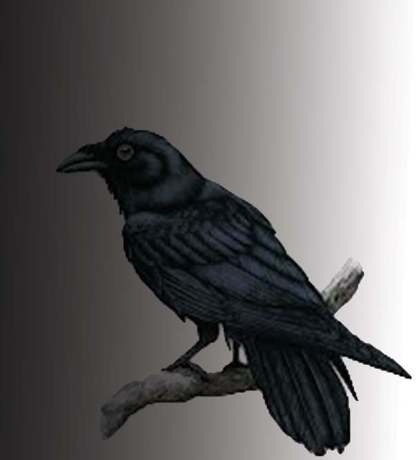 Origin and Evolution of the Mystery Genre | The Stiletto Gang