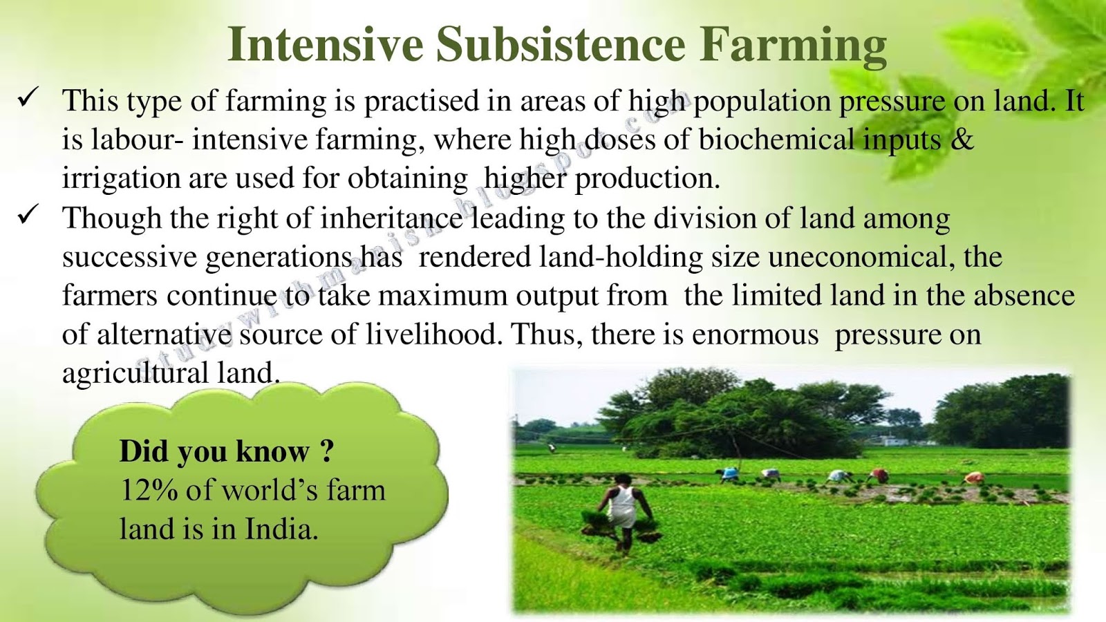 **Agriculture**Class 10th**PPT**