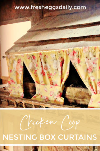Benefits of Chicken Coop Nesting Box Curtains - Fresh Eggs Daily® with ...