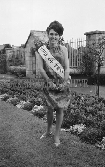 Listowel Connection: It was roses,roses all the way....