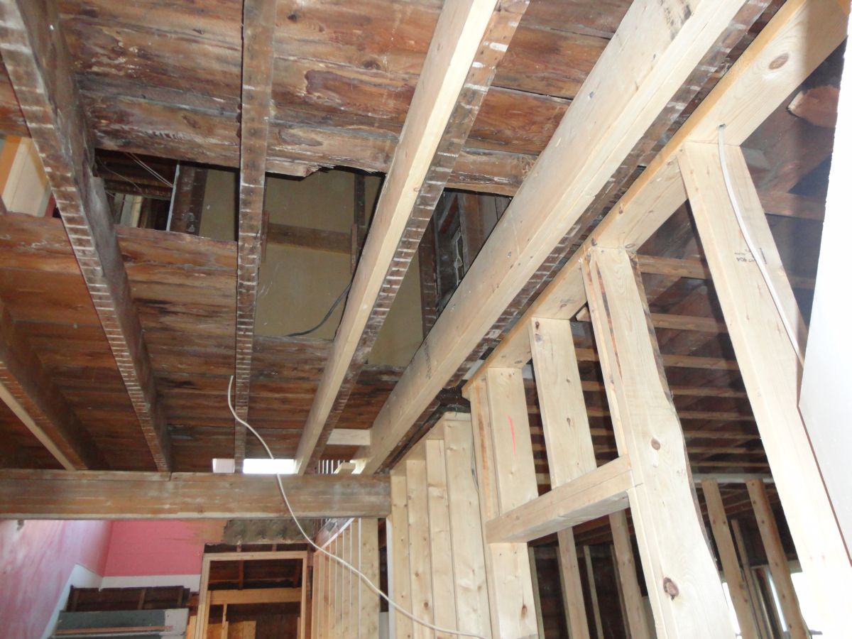 The Life of Cayce and Avi and Belle: Sistering a Joist