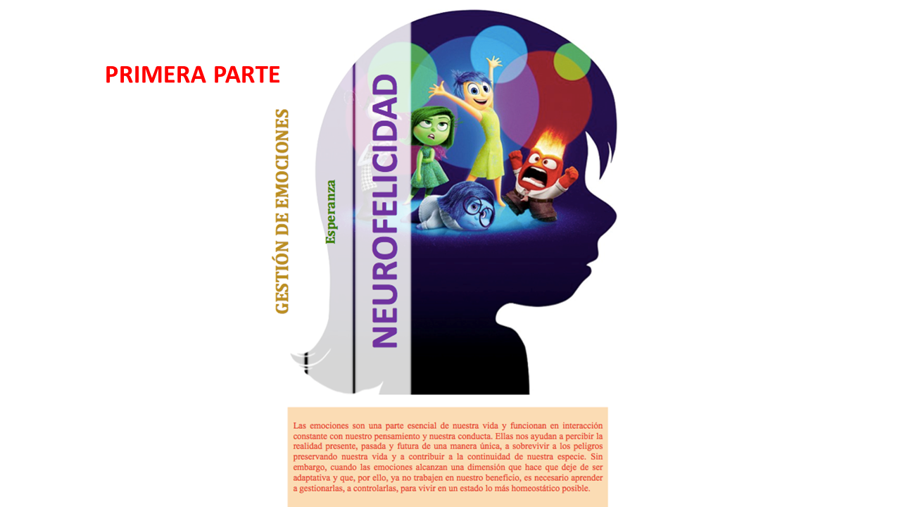 PRÁCTICA NEUROFELICIDAD: IMPECABILIDAD DE LAS PALABRAS
