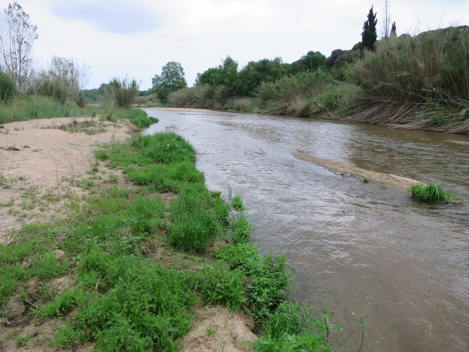 La Natura a la Baixa Tordera: Riu Tordera al seu pas pel Torho (Tordera ...