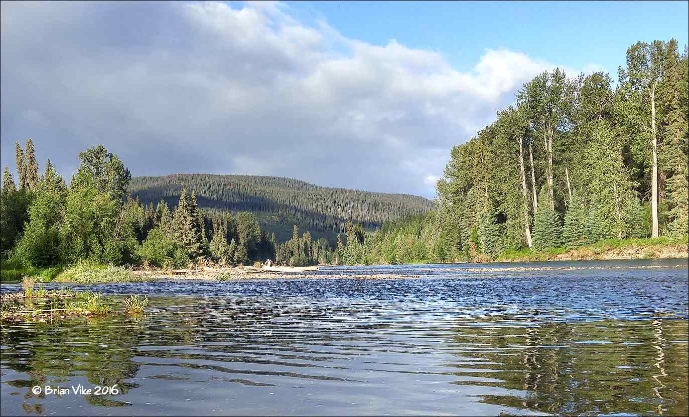 Northern Interior British Columbia: The Morice River And Lamprey Creek ...