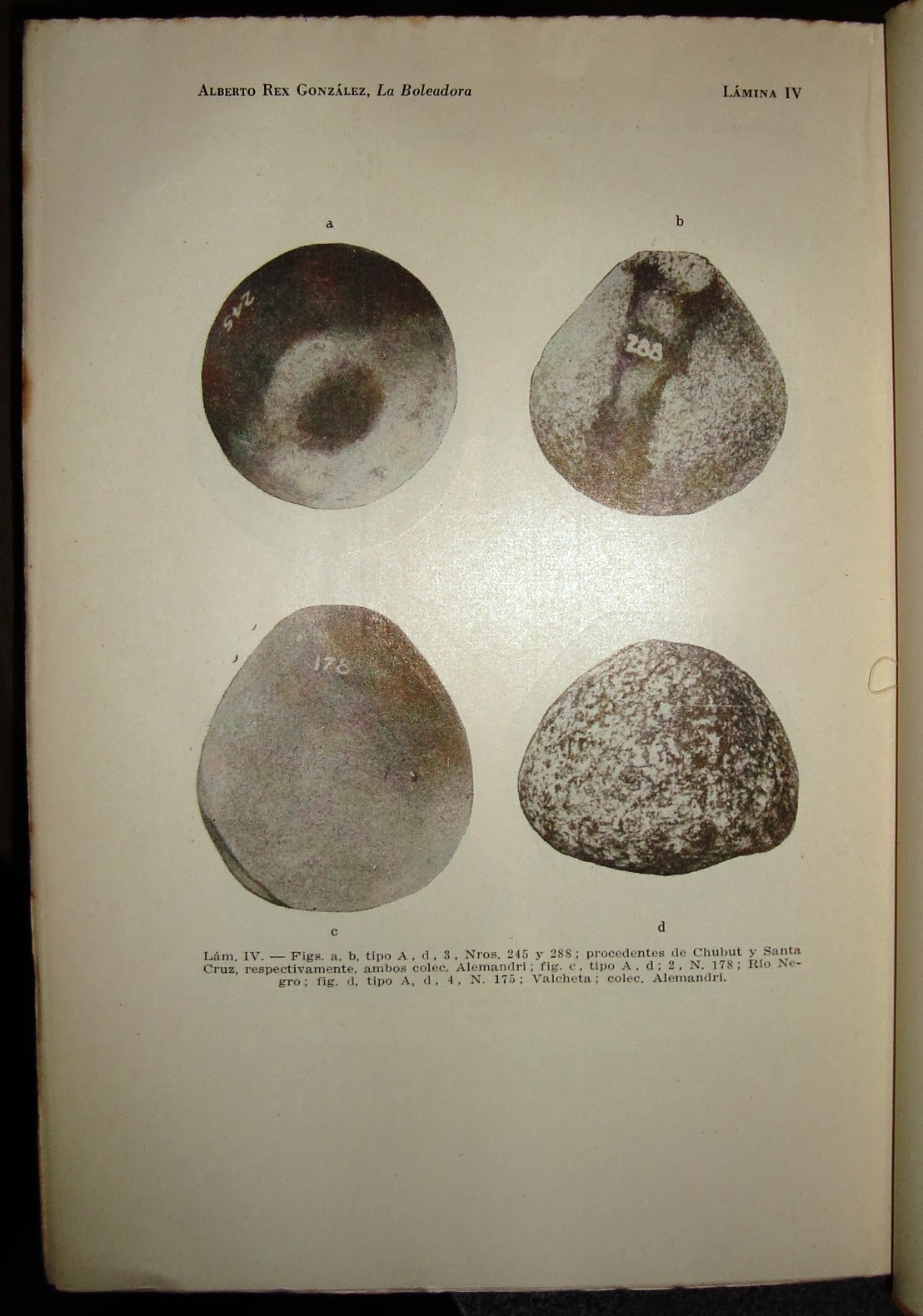 LEYEDOR LIBROS: LA BOLEDORA Y SUS AREAS DE DISPERSION ALBERTO REX ...