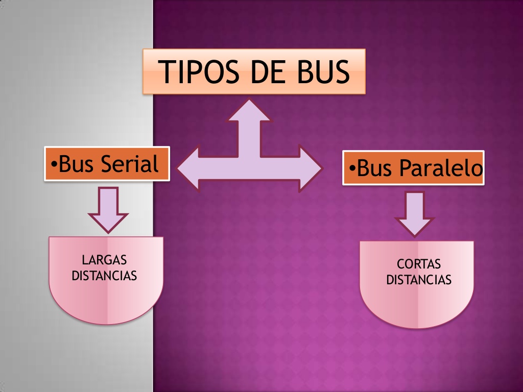 Informática: Placa Madre : Bus de Datos