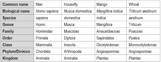 The Living World - Notes (Class 11) | Part 2 - Diversity in the Living ...