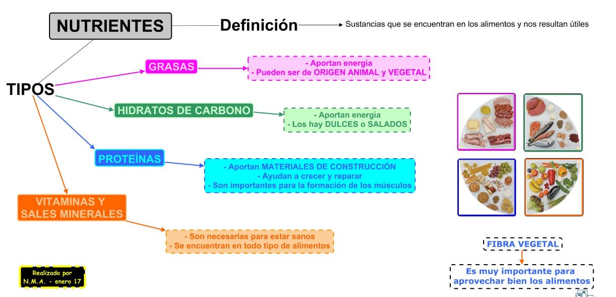 El Blog de Naturales de 5º: Los nutrientes
