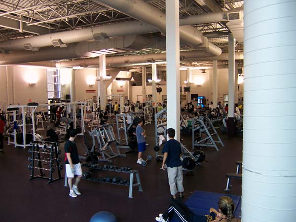 Let's Get Physical... Physical! ~ Yorking Around