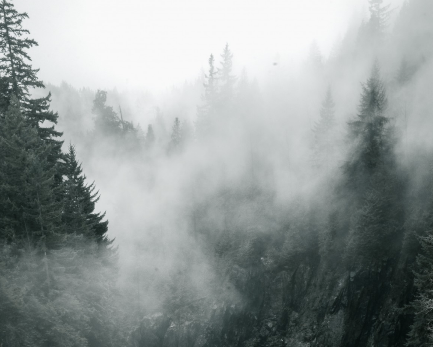 Cliff Mass Weather Blog: When is the foggiest time of the year in the ...