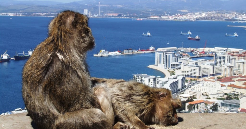 Dreamtime Sail: Gibraltar - Winter wanderings and tracking the Vendee Globe