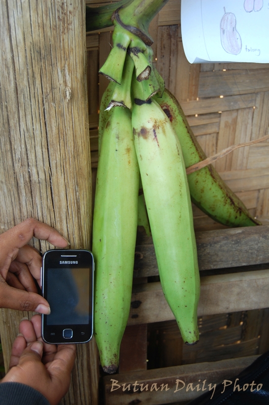 Butuan Daily Photo: Tindok and Nothing But...