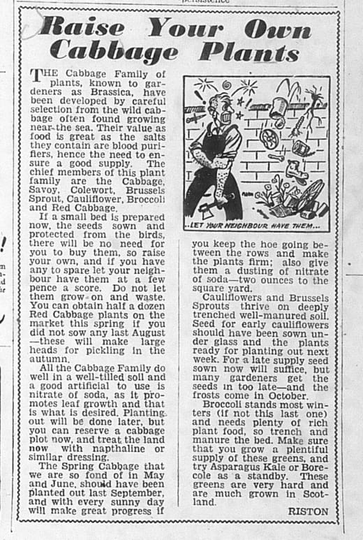 Frank Bellamy Checklist Website and Blog: Frank Bellamy and Kettering ...