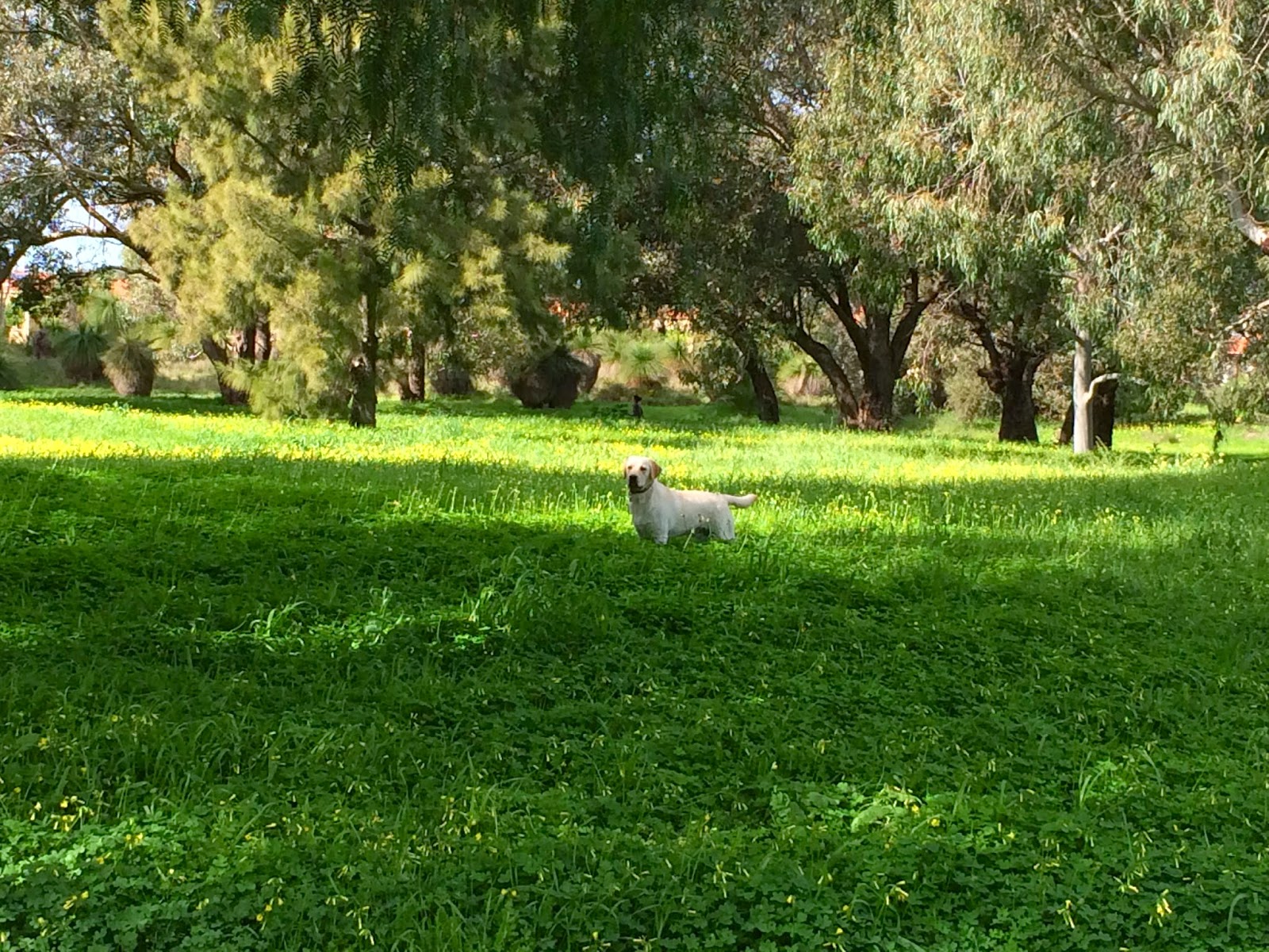 Siin me oleme...: Talve selgroog murtud