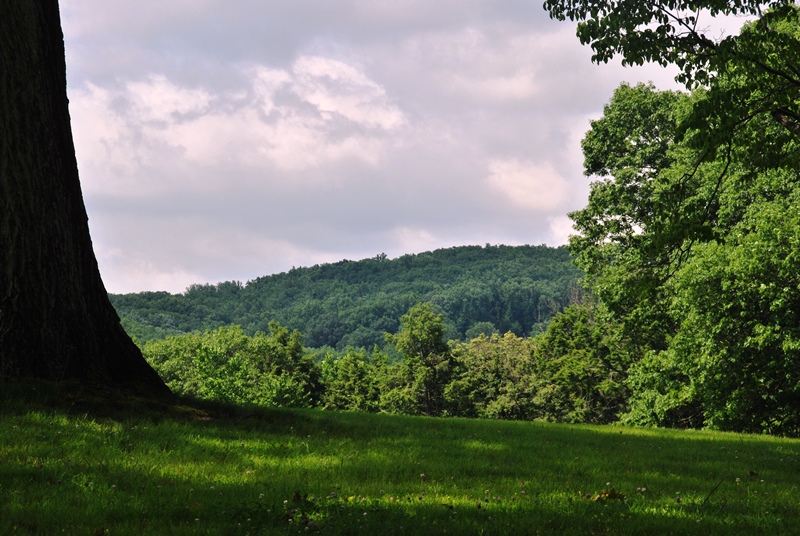 Southeastern PA Hiking: Valley Forge - Mount Misery