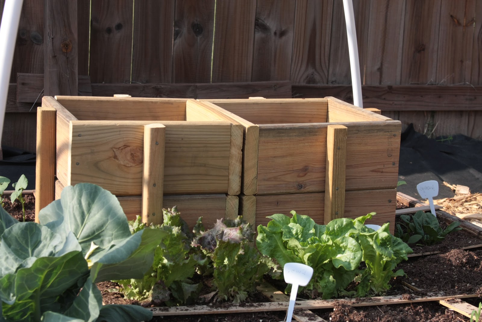 My Square Foot Garden Journal: Growing Potatoes in a Square Foot Garden