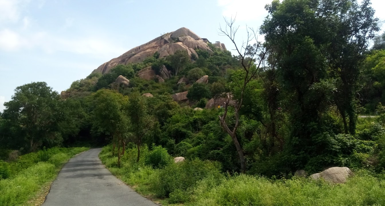 Drive + Trek - Devarayanadurga (DD hills)