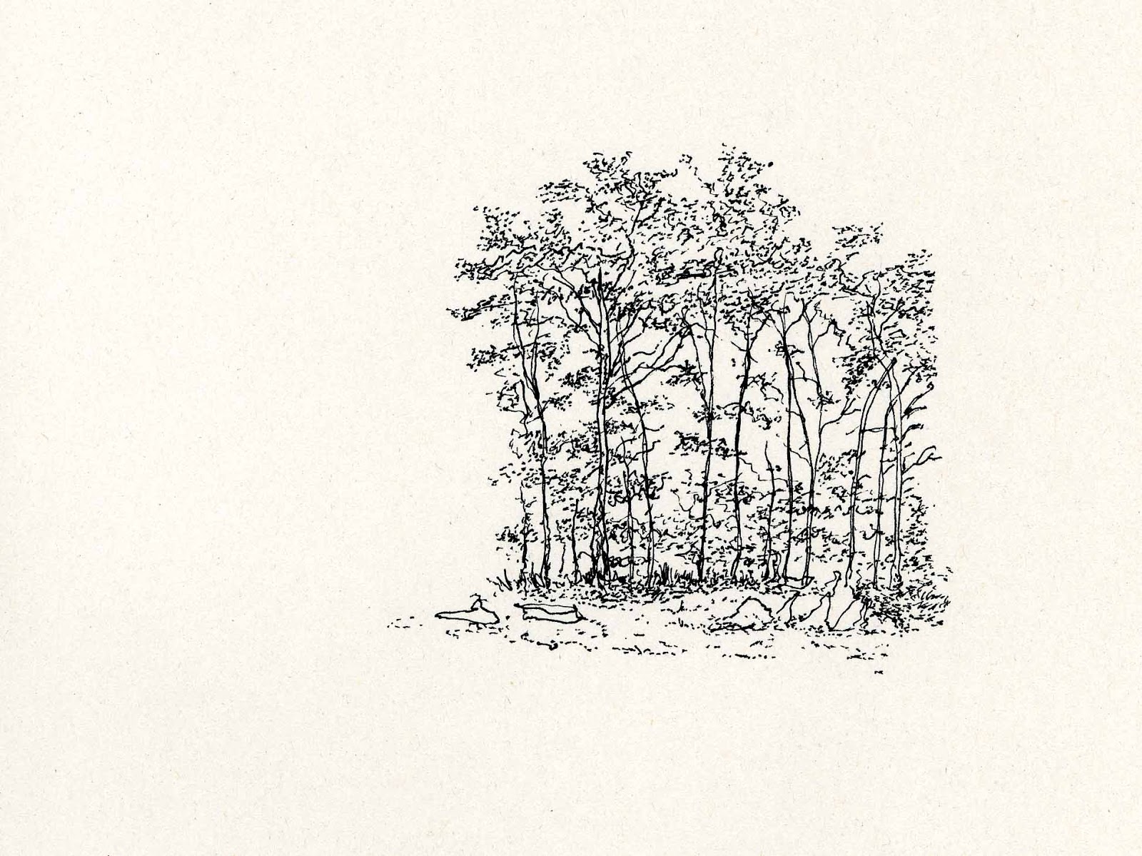 Roderick Mills: 2016