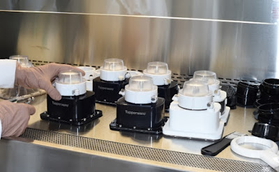 Tupperware Brands desenvolve produto exclusivo para a NASA