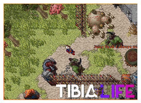 #SU19 Artigo do Mês/Teaser 2: Bem-vindos a Kilmaresh - Tibia Life