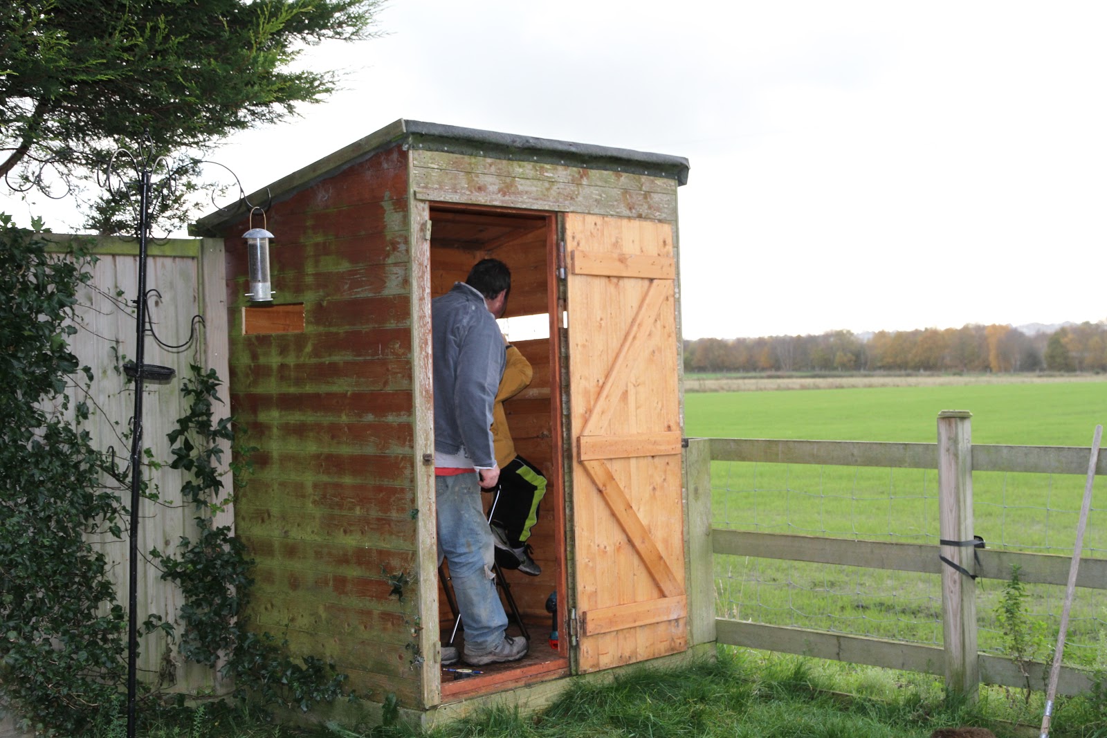 Wilde About Birds: Building My Own Bird Hide