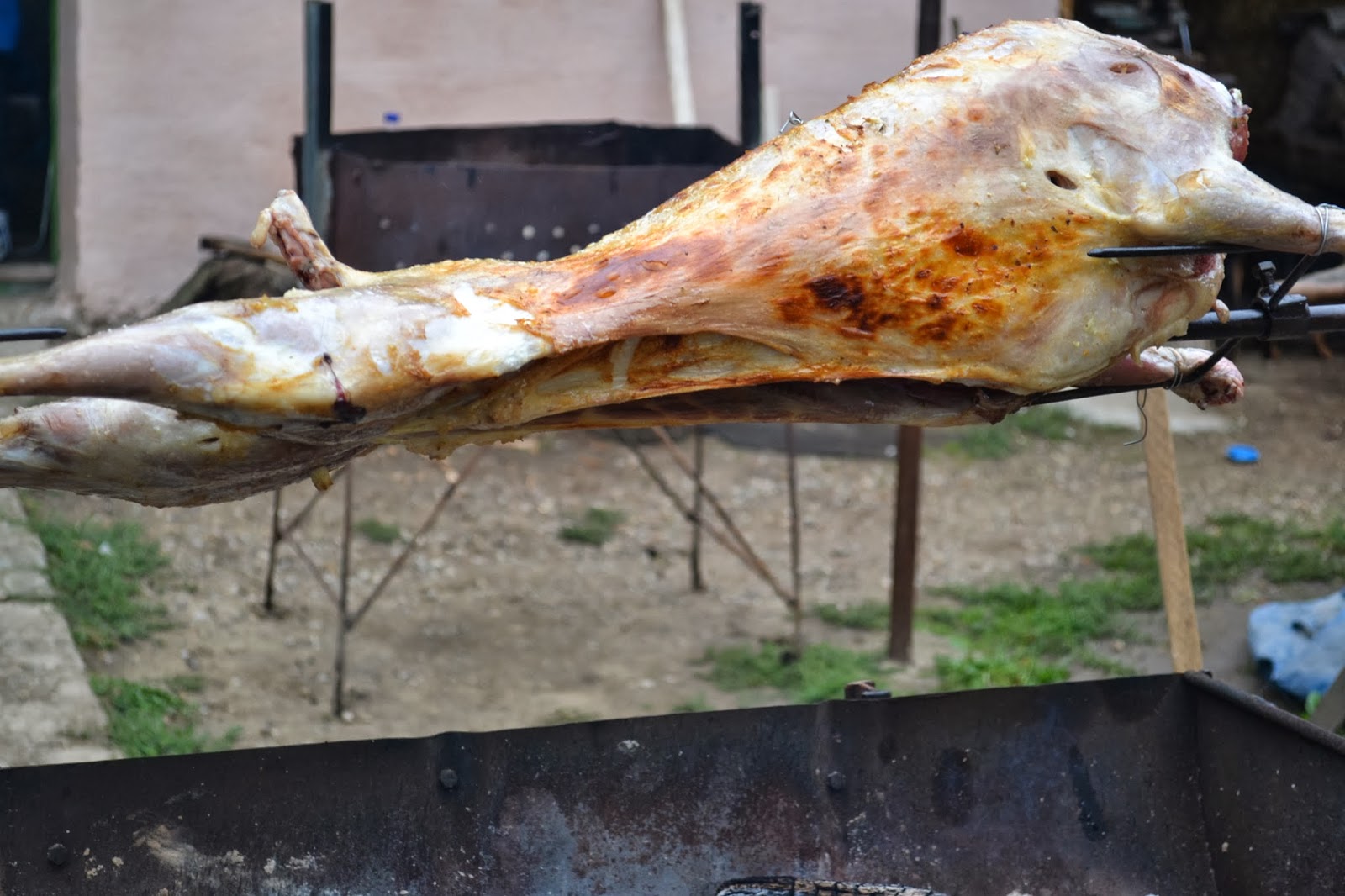 Myra's kitchen: Miel la protap 2013