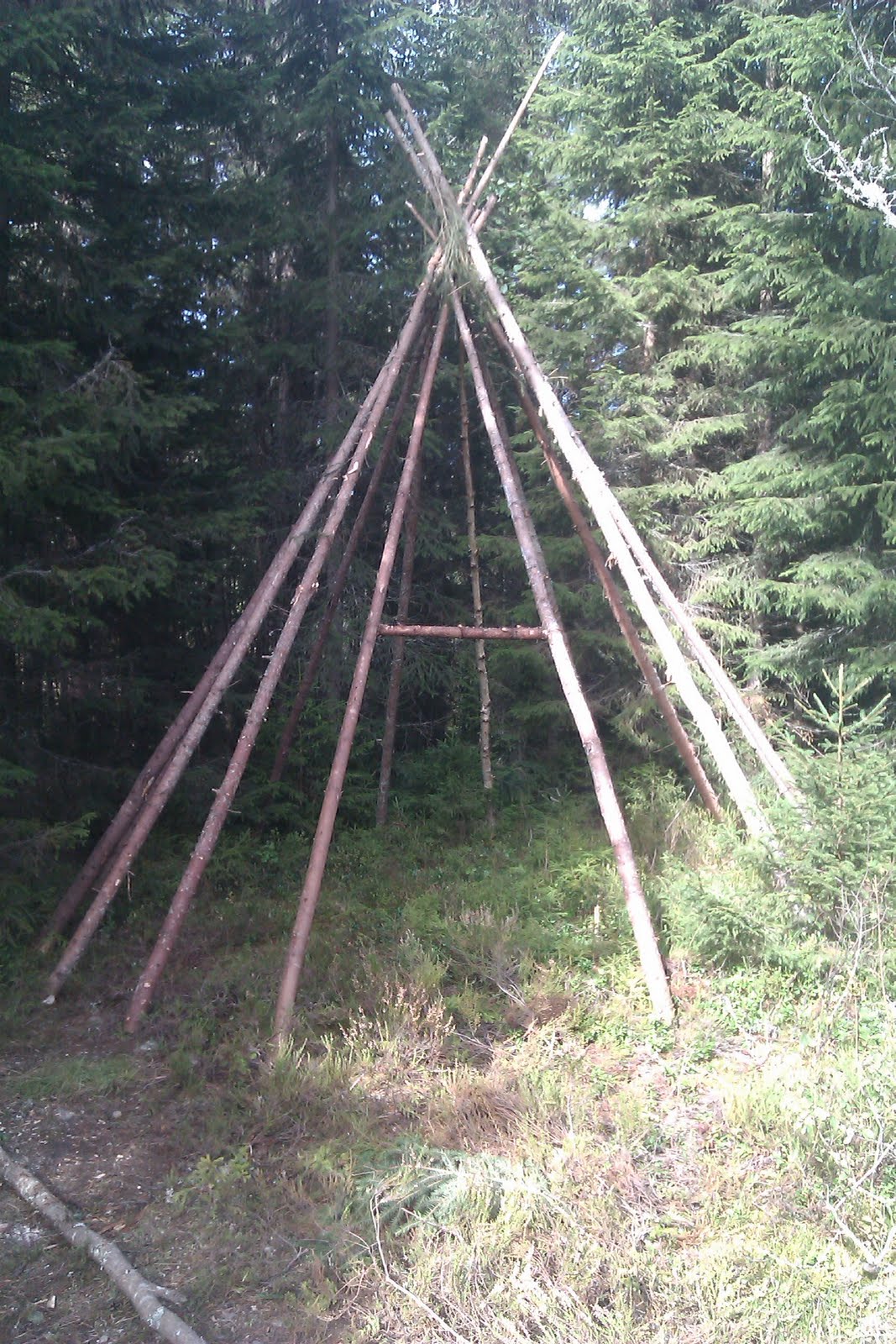 AKOS - Naturen som venn: BYGGE DIN EGEN LAVVO?