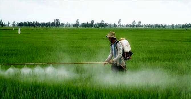 Operador Cámara Fumigadora : 2016