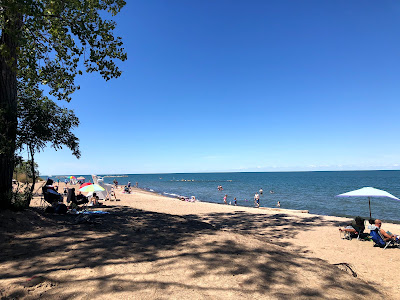 The Traveling Idiots-Where The Tuck Are They Now?: Beaching it ...