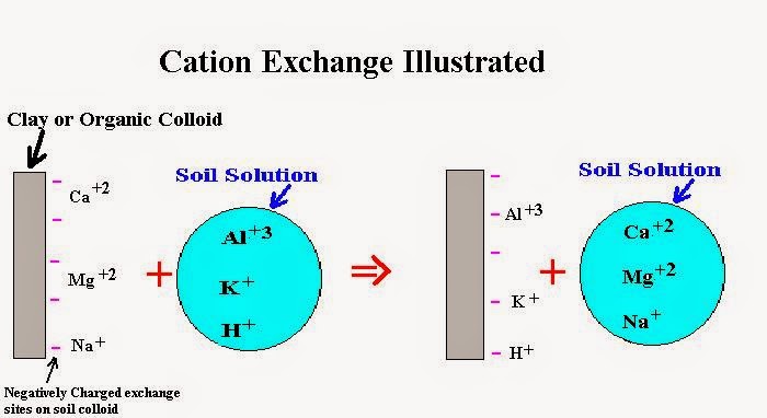 Environmental Science: Dirt on Dirt