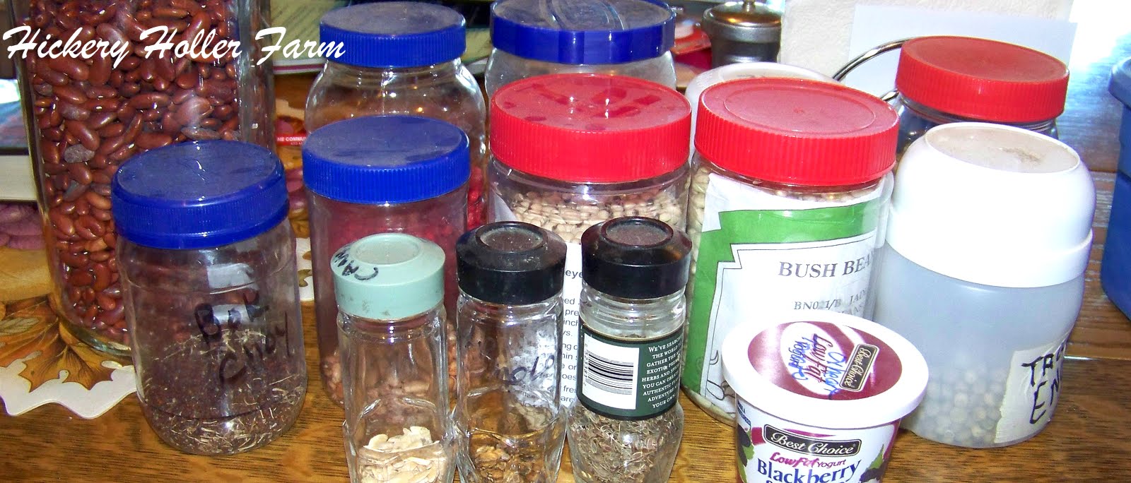 Hickery Holler Farm: Seed Collecting And Storage