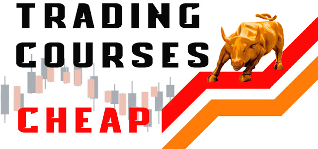 Library Of Trader Get Library Of Trader Get Premium Trading Courses library-of-trader-get-library-of-trader-get-premium-trading-courses