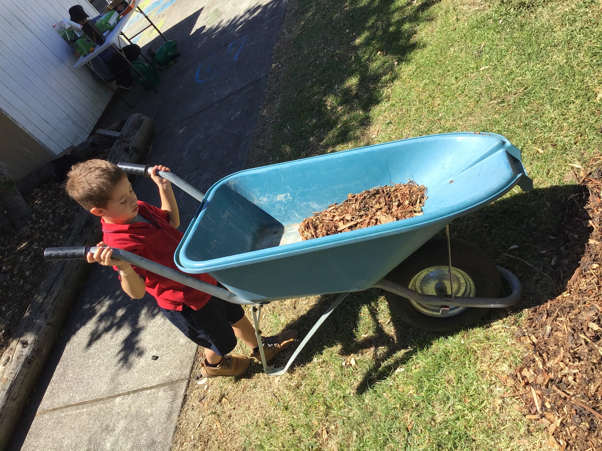 Room 12 @ Glen Taylor School: Wheelbarrow driving test to get their ...