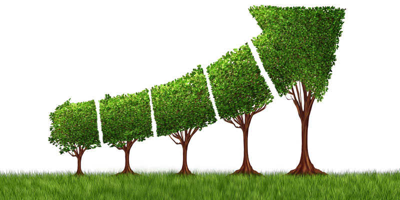 VIDYA'S PHOENIX: PSYCHOLOGY OF TEACHING AND LEARNING :: GROWTH ...