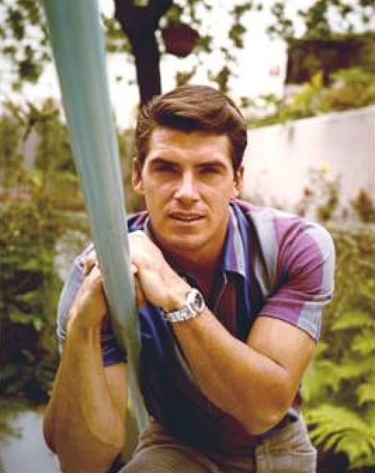 EL EDÉN SIDERAL: Beautiful Wonder Boys Retro: Van Williams (Parte II)